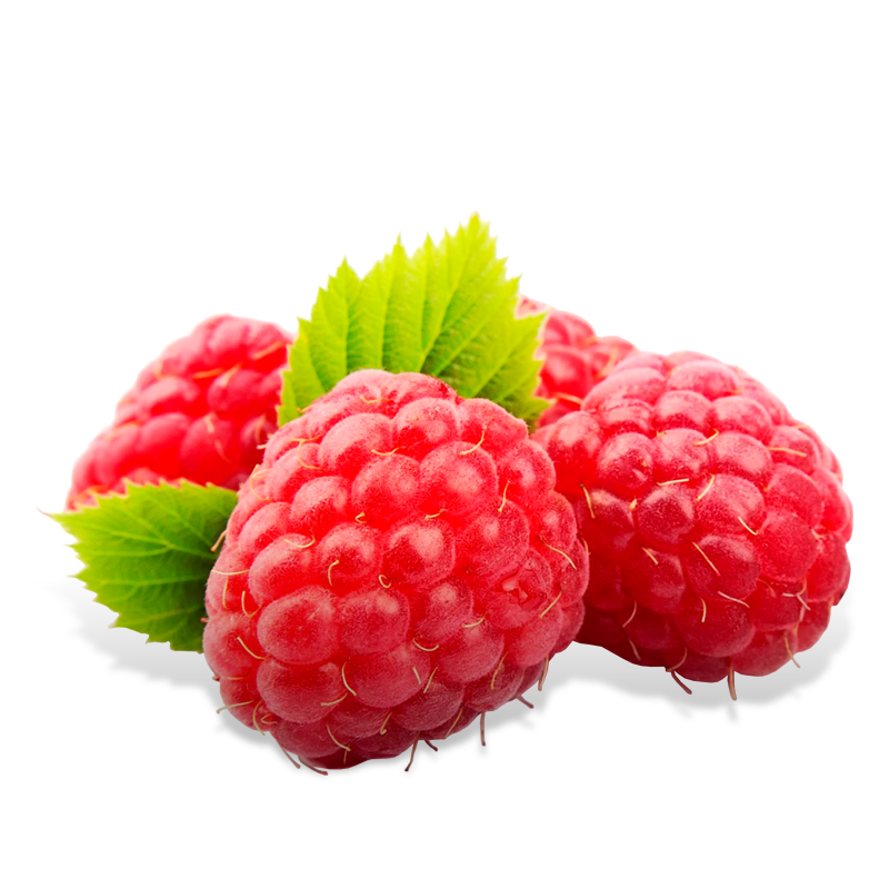 BitNinja Honeypot